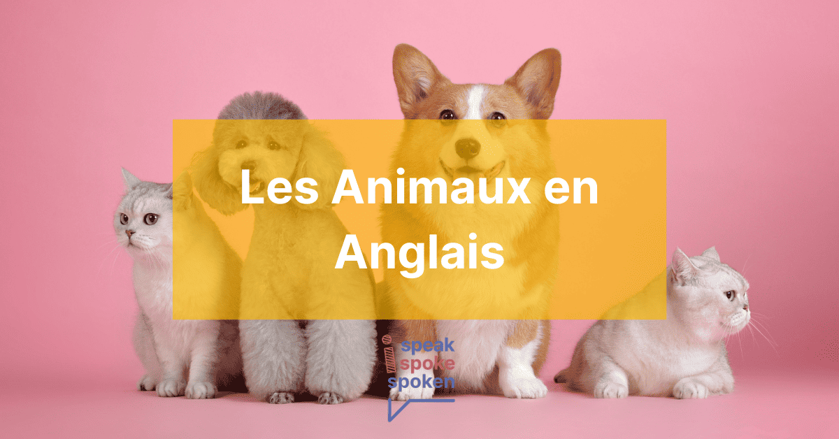 Animaux en Anglais | 200 Mots et 40 Expressions
