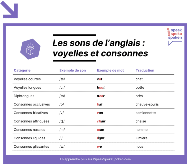 Phonologie de l’Anglais : Sons, Voyelles, Consonnes