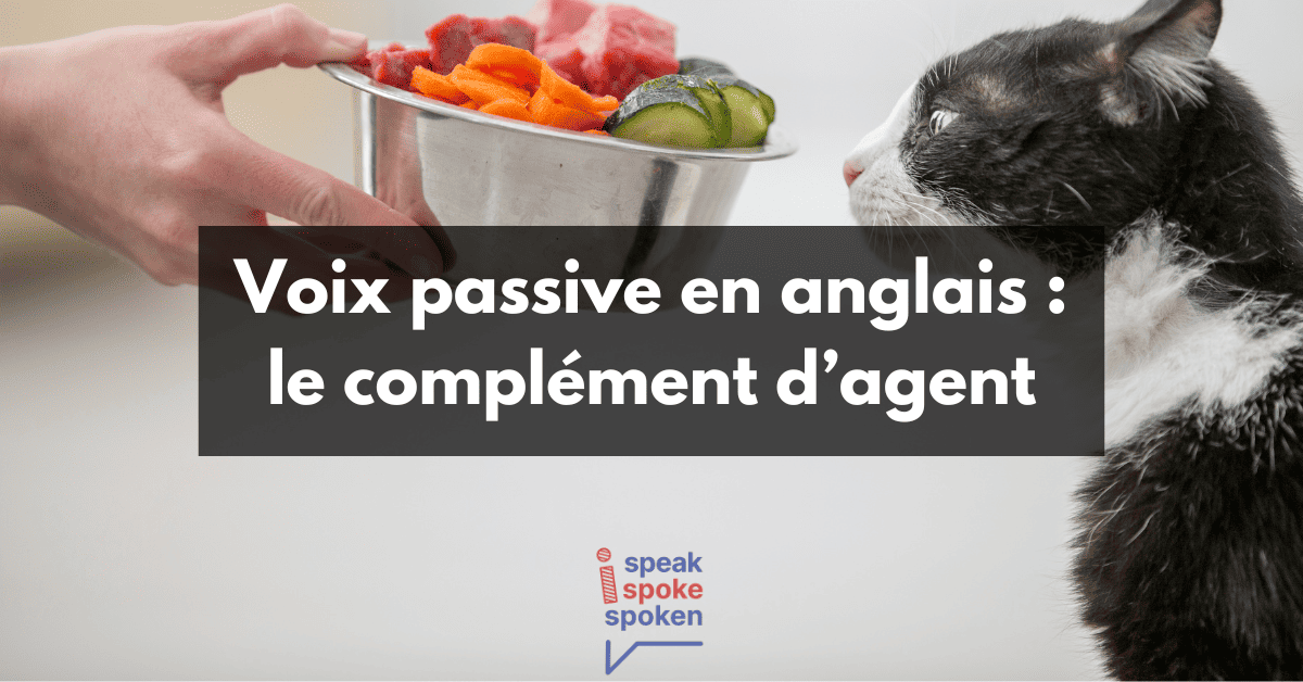 Complément d'Agent Anglais | Explications Faciles & Exemples